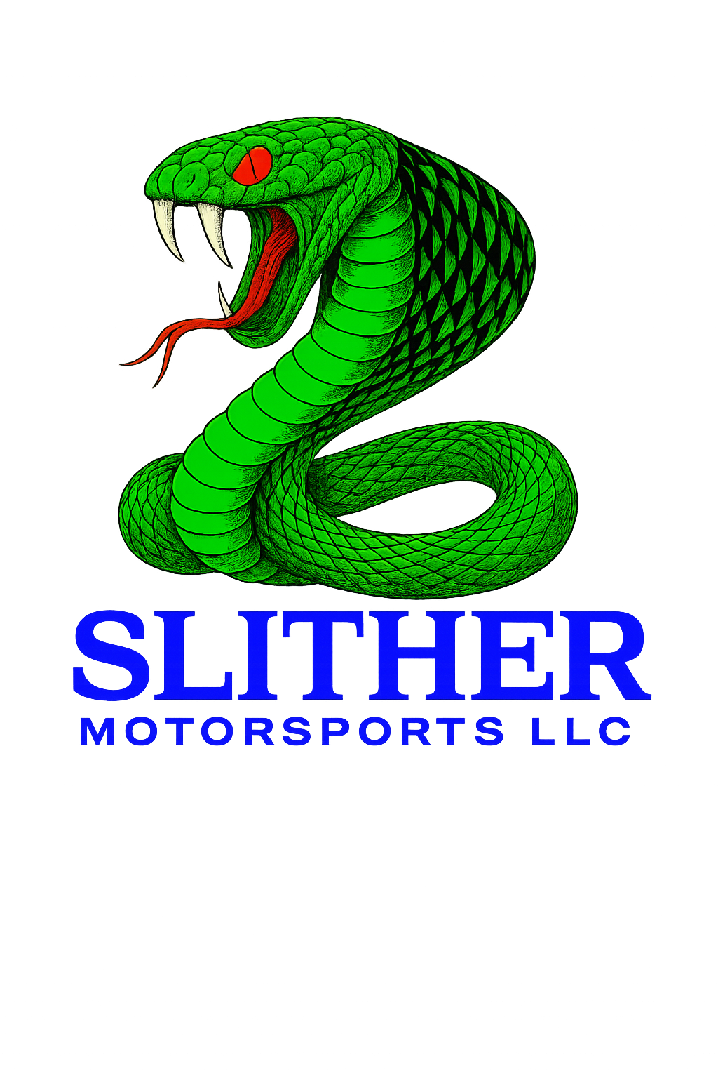 Home - Slither Motorsports LLC